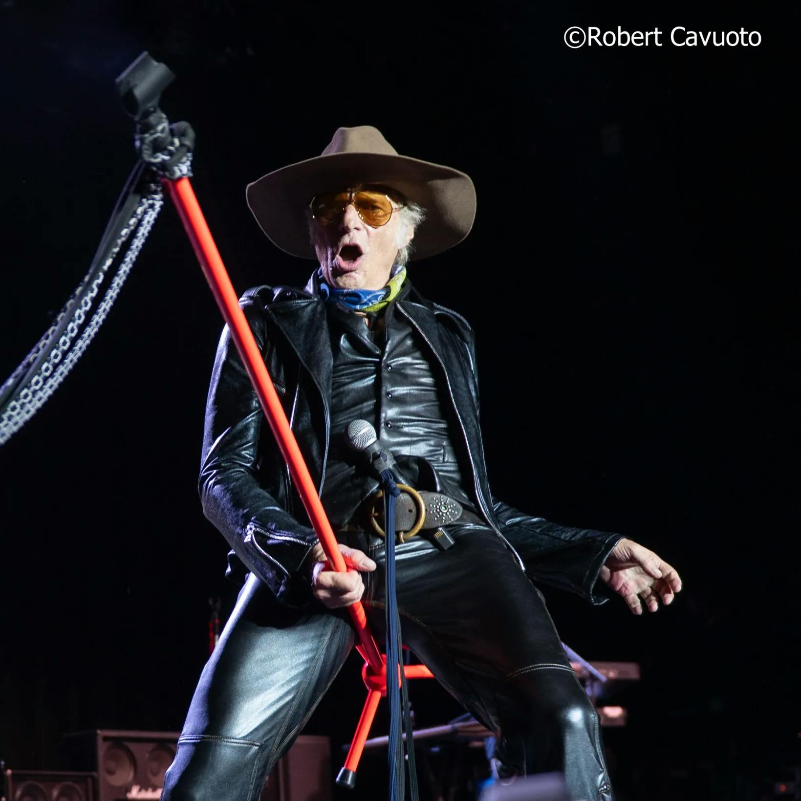 LC Picks 3: David Lee Roth - Hard Rock Talk Podcast | Cobras & Fire